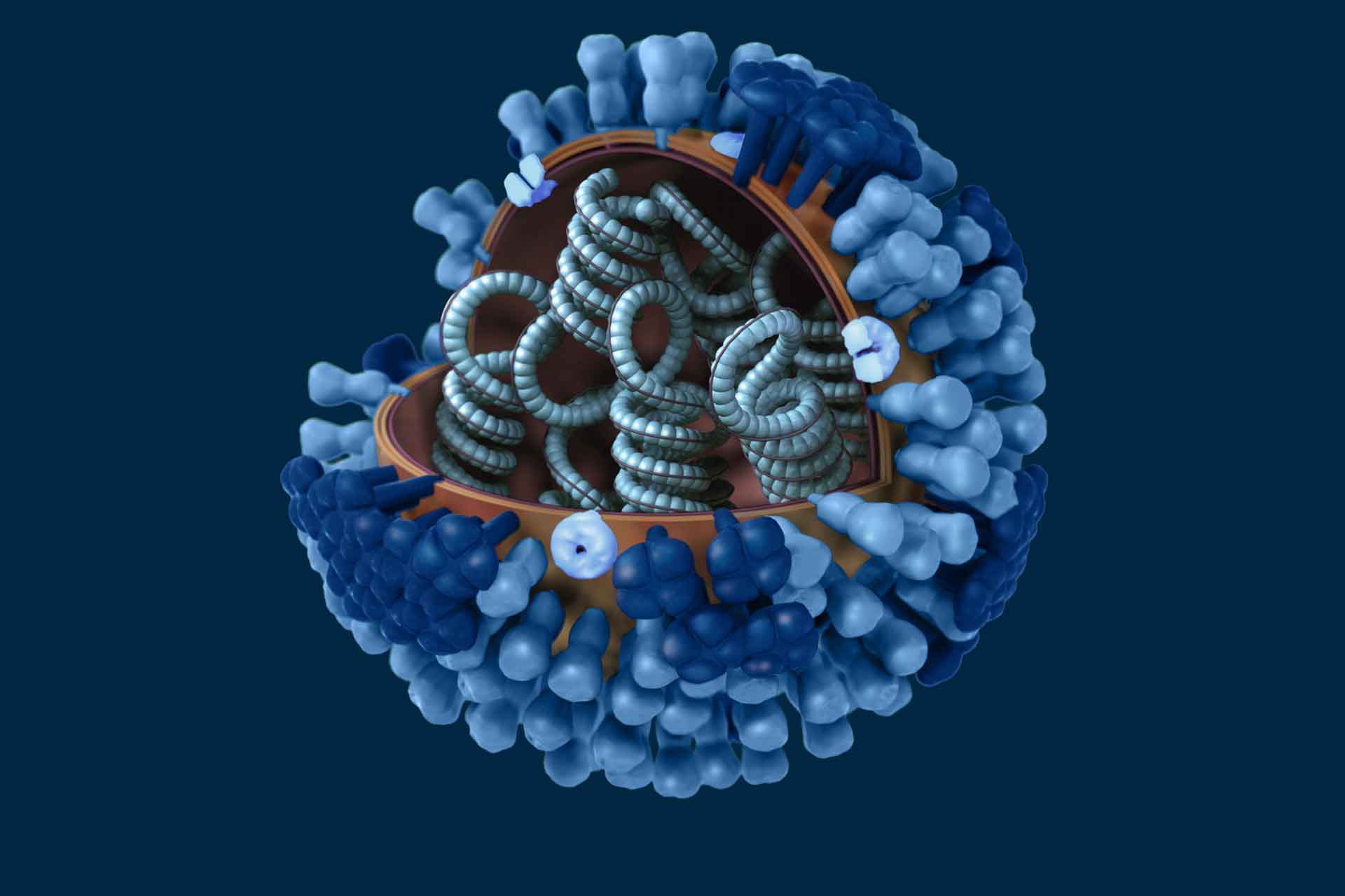 Pirbright scientists identify how a single bird flu protein can ...