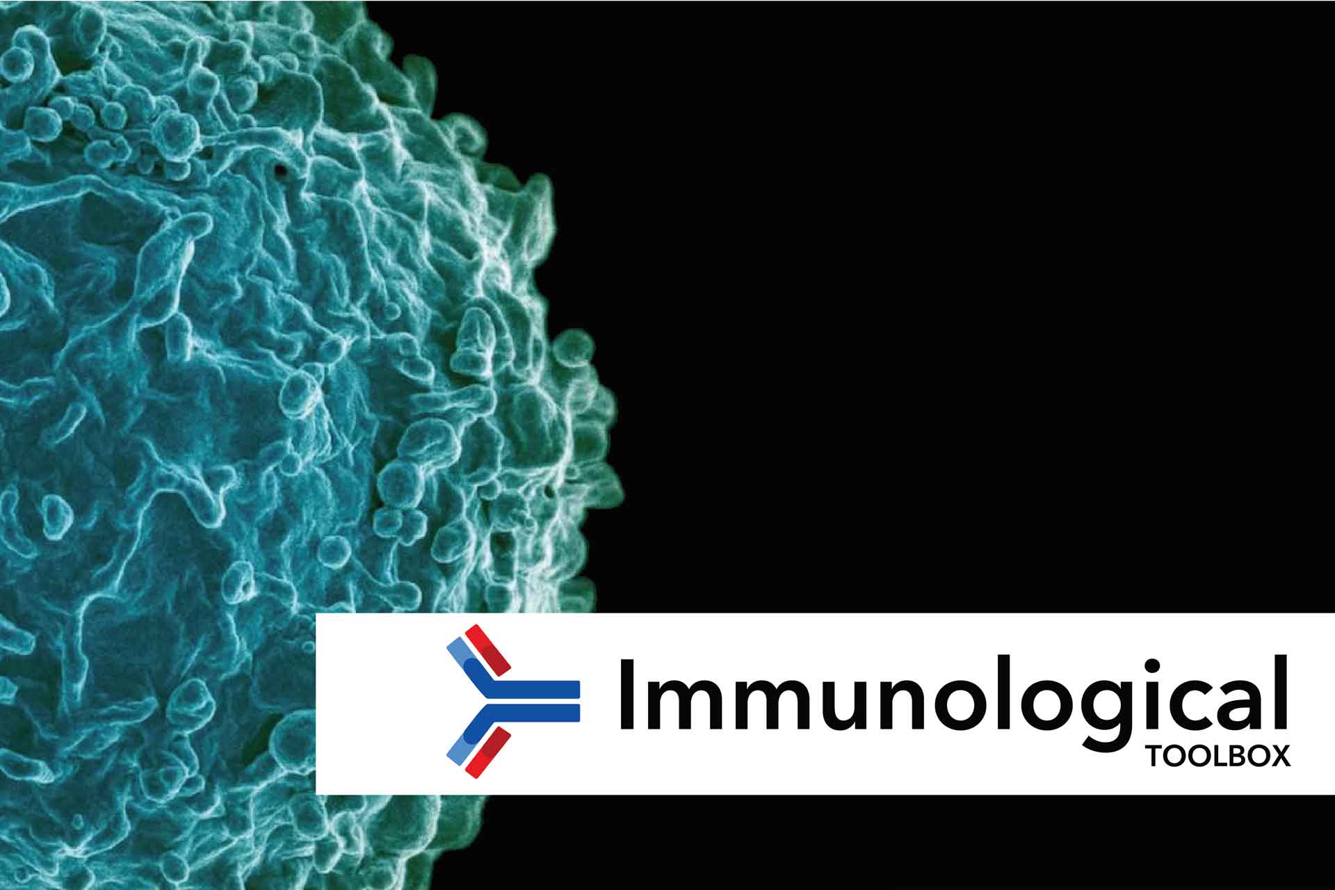Pirbright launches The Immunological Toolbox website | News | The ...
