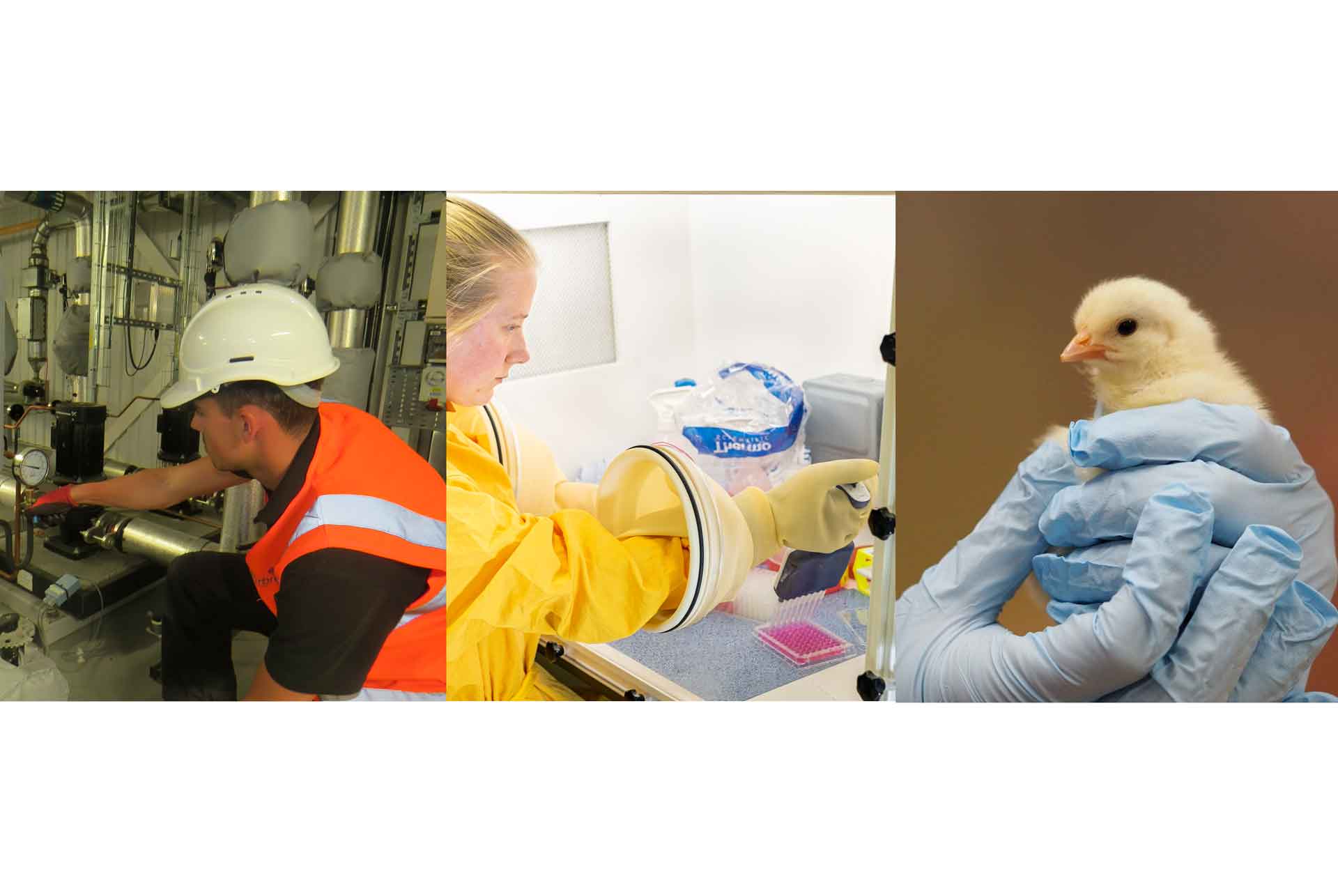 Science Spotlight: Supporting world-class research | News | The ...