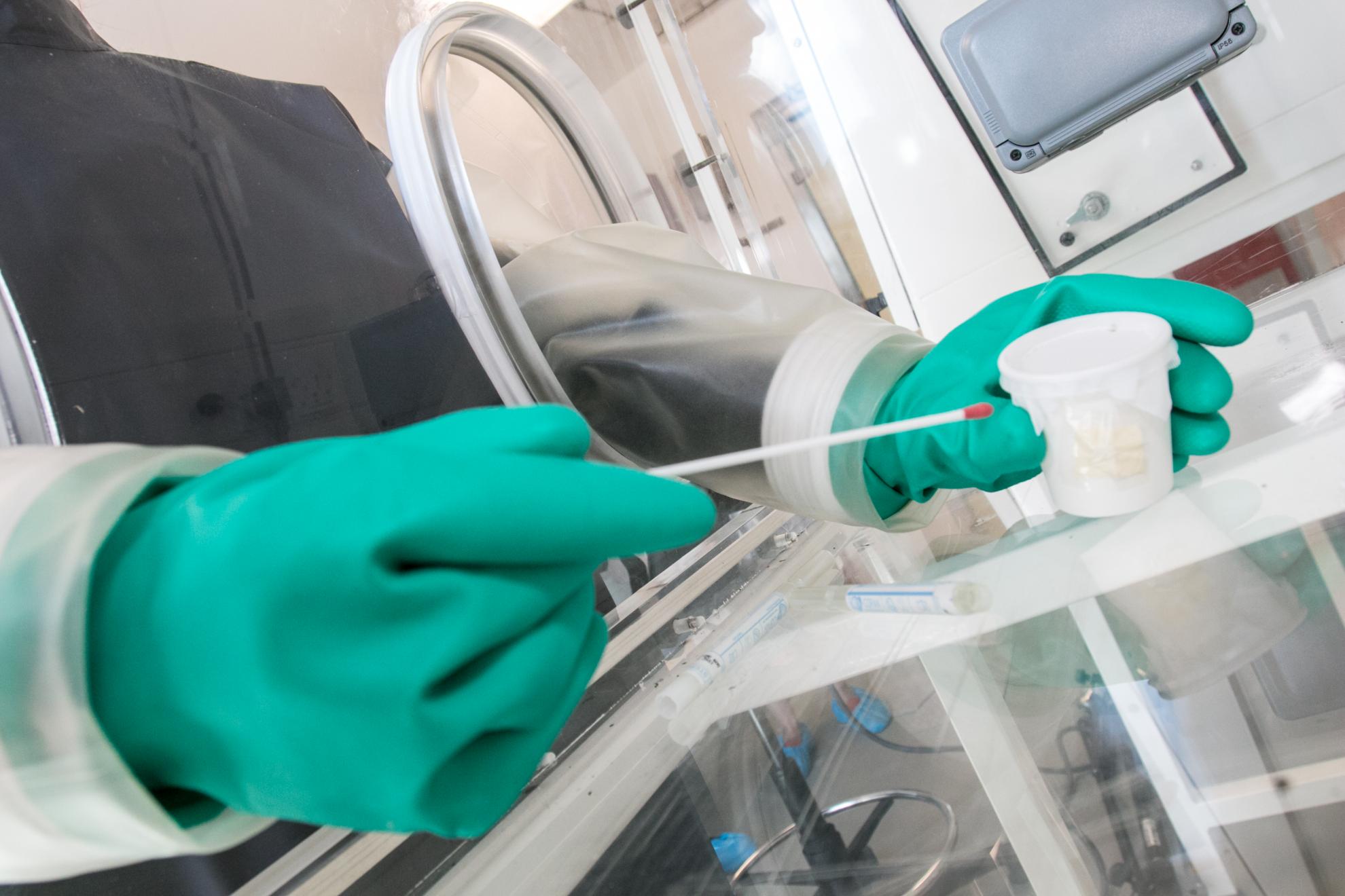 Diagnostic testing | The Pirbright Institute